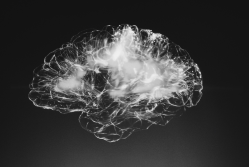 How Our Brains React in Crisis - Daniel Im